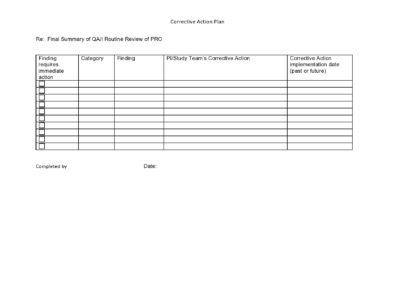 44 Best Corrective Action Plan Templates (Word / Excel)
