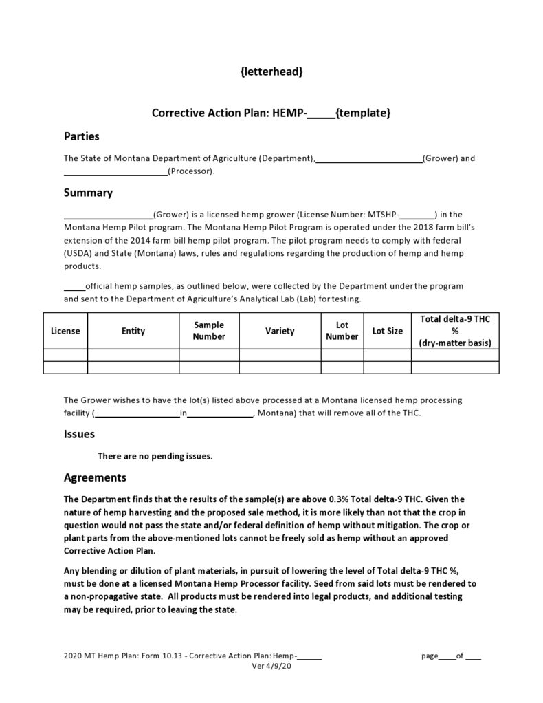 44 Best Corrective Action Plan Templates (Word / Excel)