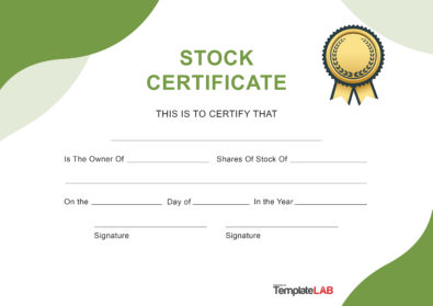 19 Free Stock Certificate Templates (Word, PDF) ᐅ TemplateLab