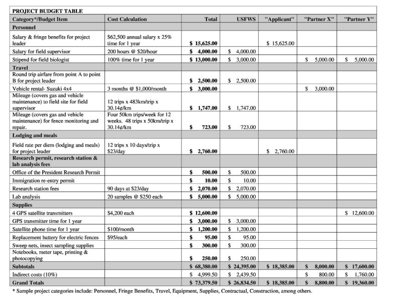 41 Useful Project Budget Templates (Excel / Word) ᐅ TemplateLab