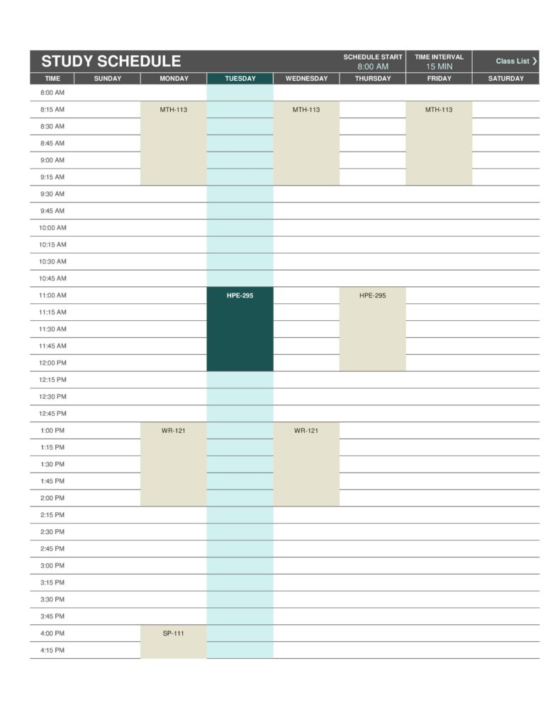 42 Useful Study Plan Templates (Word / Excel) ᐅ TemplateLab