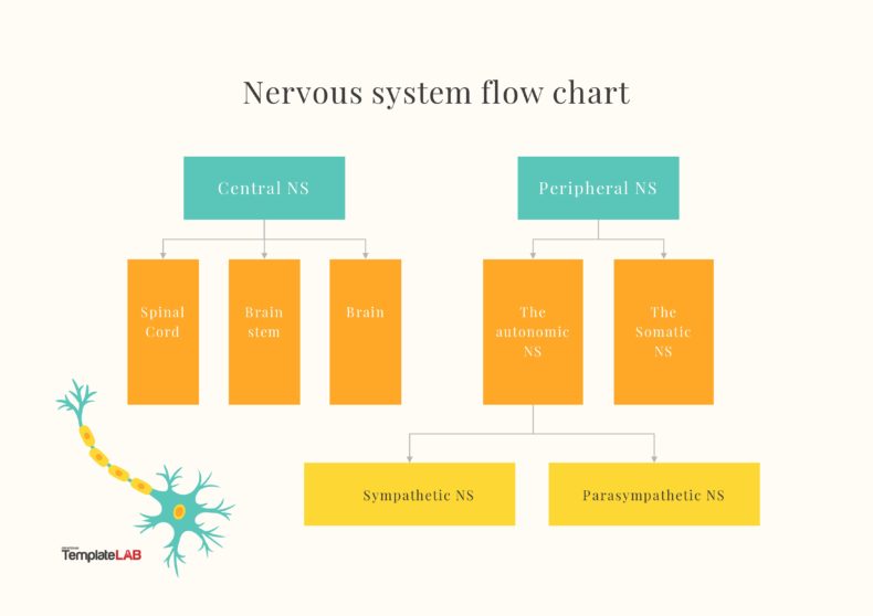 26 Fantastic Flow Chart Templates [Word, Excel, Power Point]