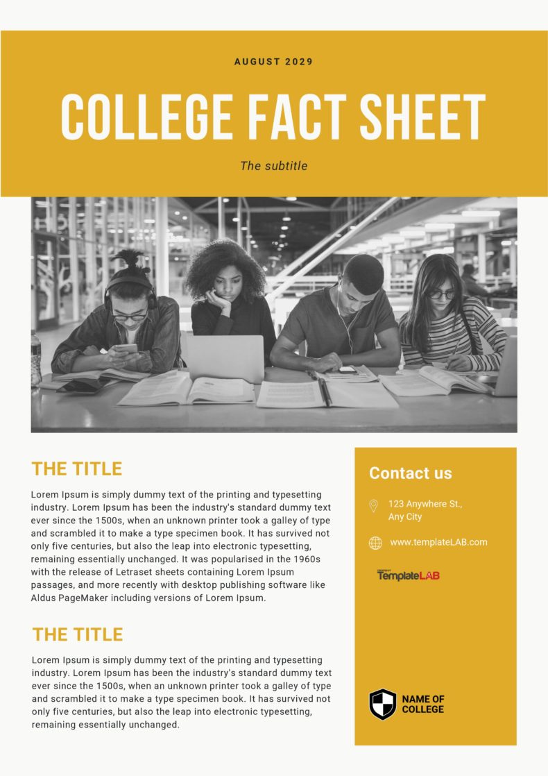 30+ Beautiful Fact Sheet Templates, Examples and Designs