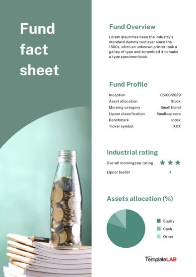 30+ Beautiful Fact Sheet Templates, Examples and Designs