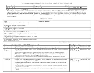 90 Day Review Templates (& Printable Examples) ᐅ TemplateLab