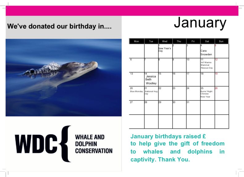 43 Editable Birthday Calendar Templates (100% Free)