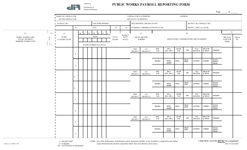40 Free Payroll Report Templates (Excel / Word) ᐅ TemplateLab