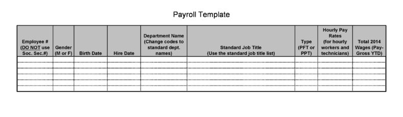 40 Free Payroll Report Templates (Excel / Word) ᐅ TemplateLab