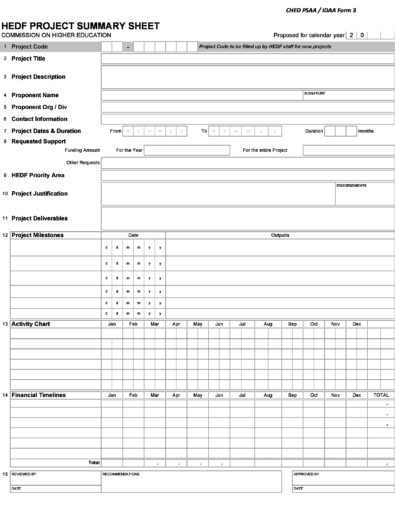 40 Perfect Project Summary Templates (+Examples)
