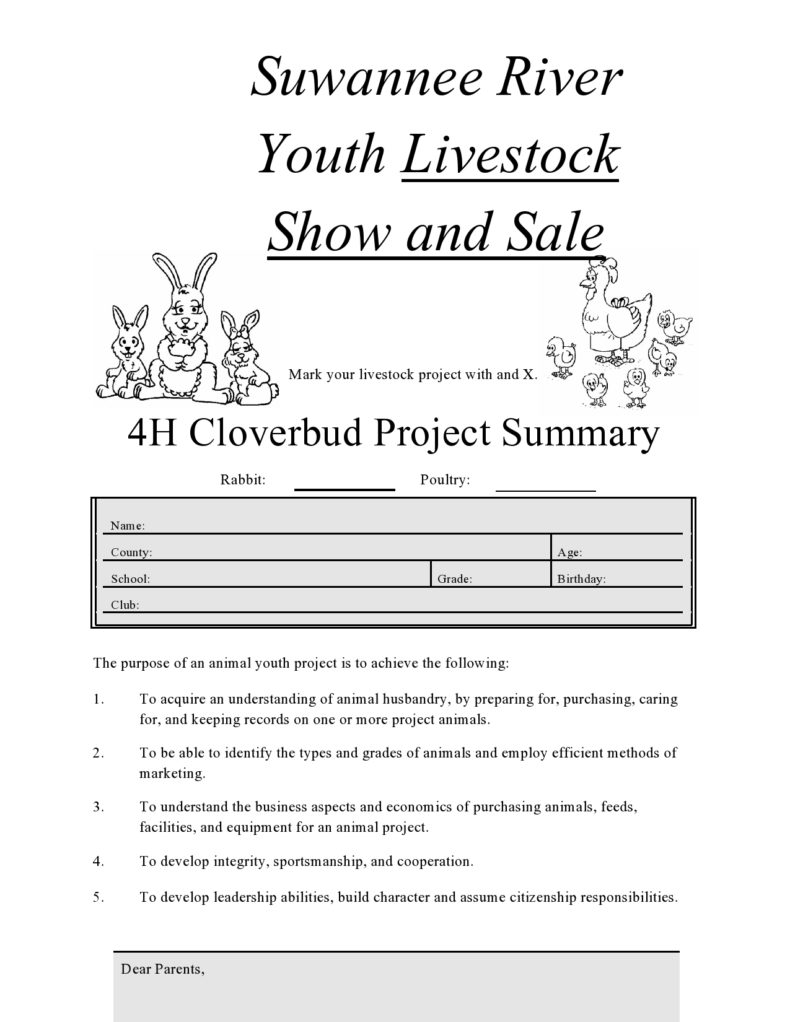 40 Perfect Project Summary Templates (+Examples)