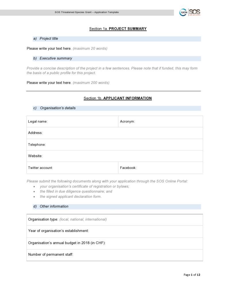 40 Perfect Project Summary Templates (+Examples)