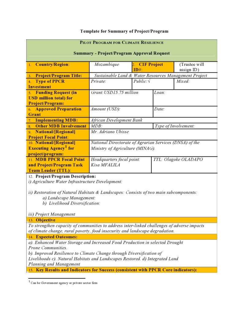 40 Perfect Project Summary Templates (+Examples)