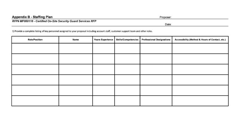 49 Effective Staffing Plan Templates (Excel, Word, PDF) ᐅ TemplateLab