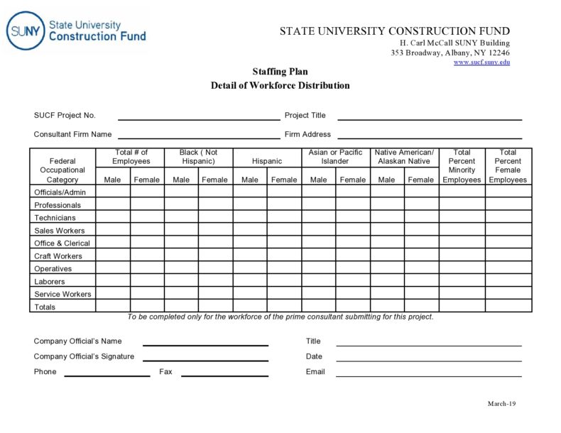 49 Effective Staffing Plan Templates (Excel, Word, PDF) ᐅ TemplateLab