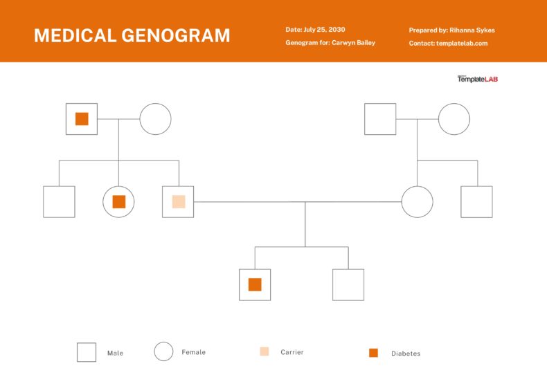 28 Free Genogram Templates & Symbols [Word, PowerPoint, PDF]
