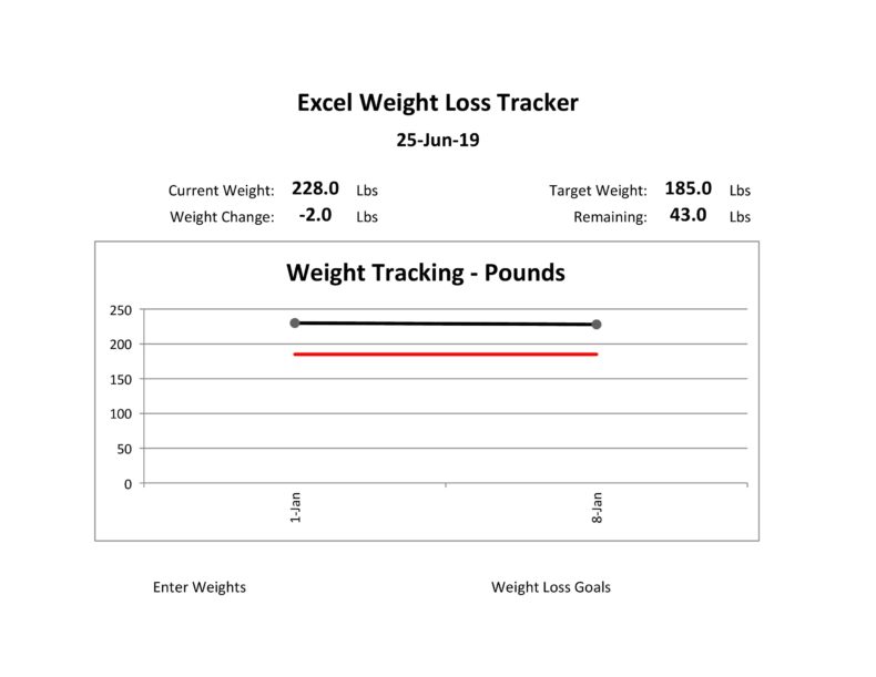 50+ Blank Weight Loss Tracker Templates (Monthly / Weekly)