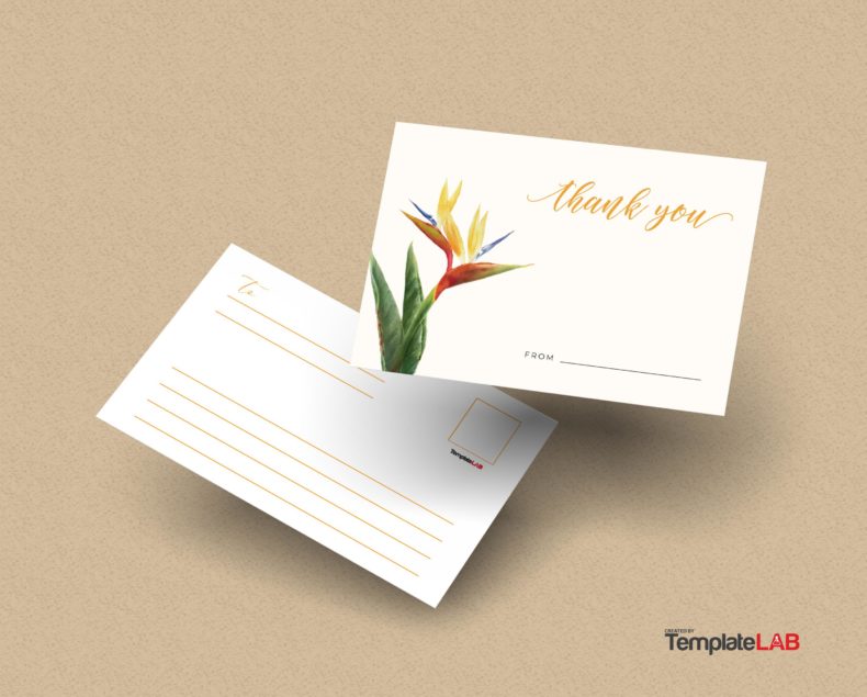 19 Printable Postcard Templates & Designs [Word, PDF, PSD]