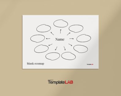 18 Editable Ecomap Templates & Examples [FREE] ᐅ TemplateLab