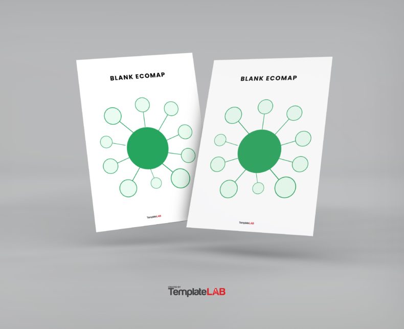 18 Editable Ecomap Templates & Examples [FREE] ᐅ TemplateLab