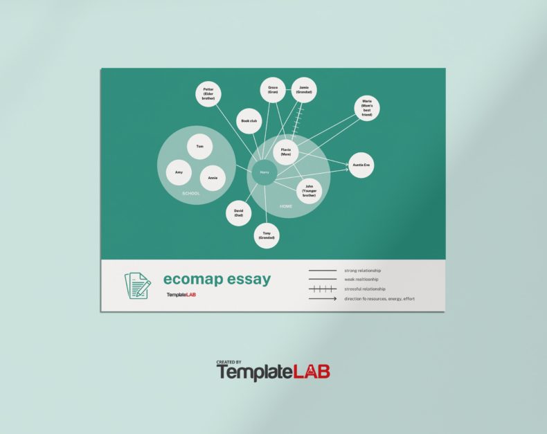 18 Editable Ecomap Templates & Examples [FREE] ᐅ TemplateLab