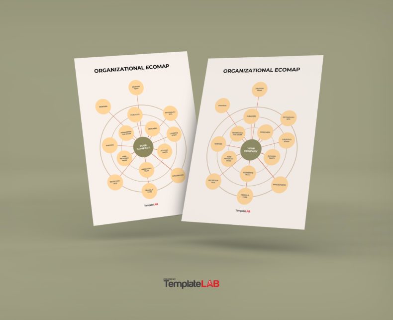 18 Editable Ecomap Templates & Examples [FREE] ᐅ TemplateLab