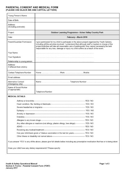43 Printable Medical Consent Forms for Minor (Free)