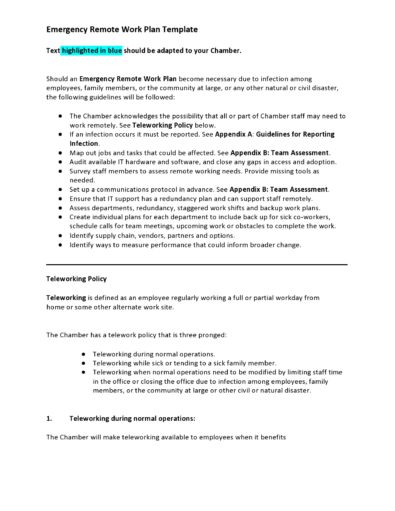 46 Effective Work from Home Policy Templates ᐅ TemplateLab