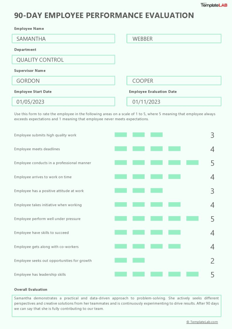 12 Perfect Employee Evaluation Templates [FREE] - TemplateLab
