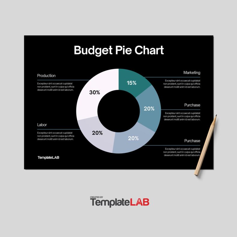 18 Free Pie Chart Templates (Word, Excel, PDF, PowerPoint) ᐅ TemplateLab