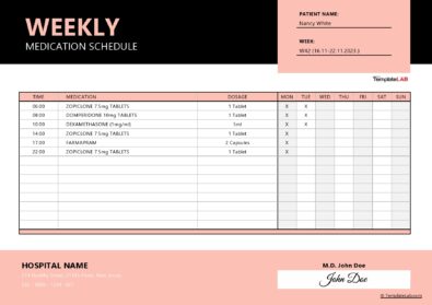 40 Great Medication Schedule Templates (+Medication Calendars)