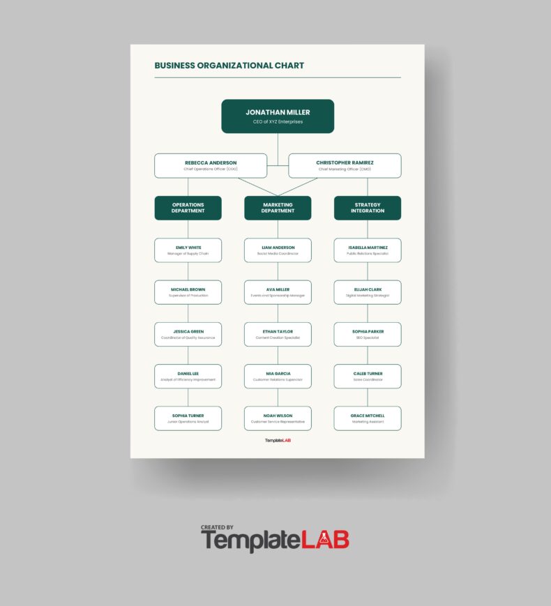 41 Organizational Chart Templates (Word, Excel, PowerPoint, PSD)