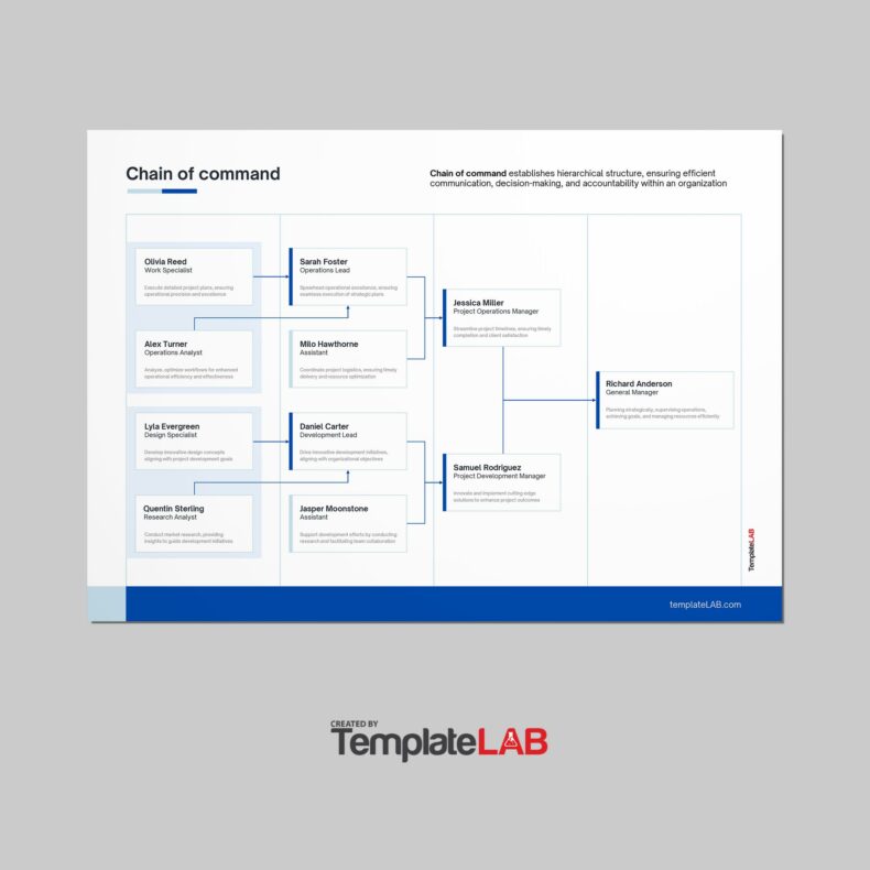 41 Organizational Chart Templates (Word, Excel, PowerPoint, PSD)