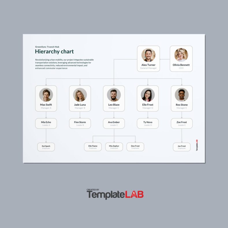 41 Organizational Chart Templates (Word, Excel, PowerPoint, PSD)