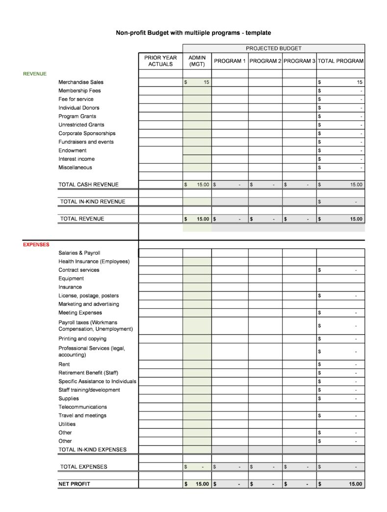 40 Simple Nonprofit Budget Templates [Excel / Word]