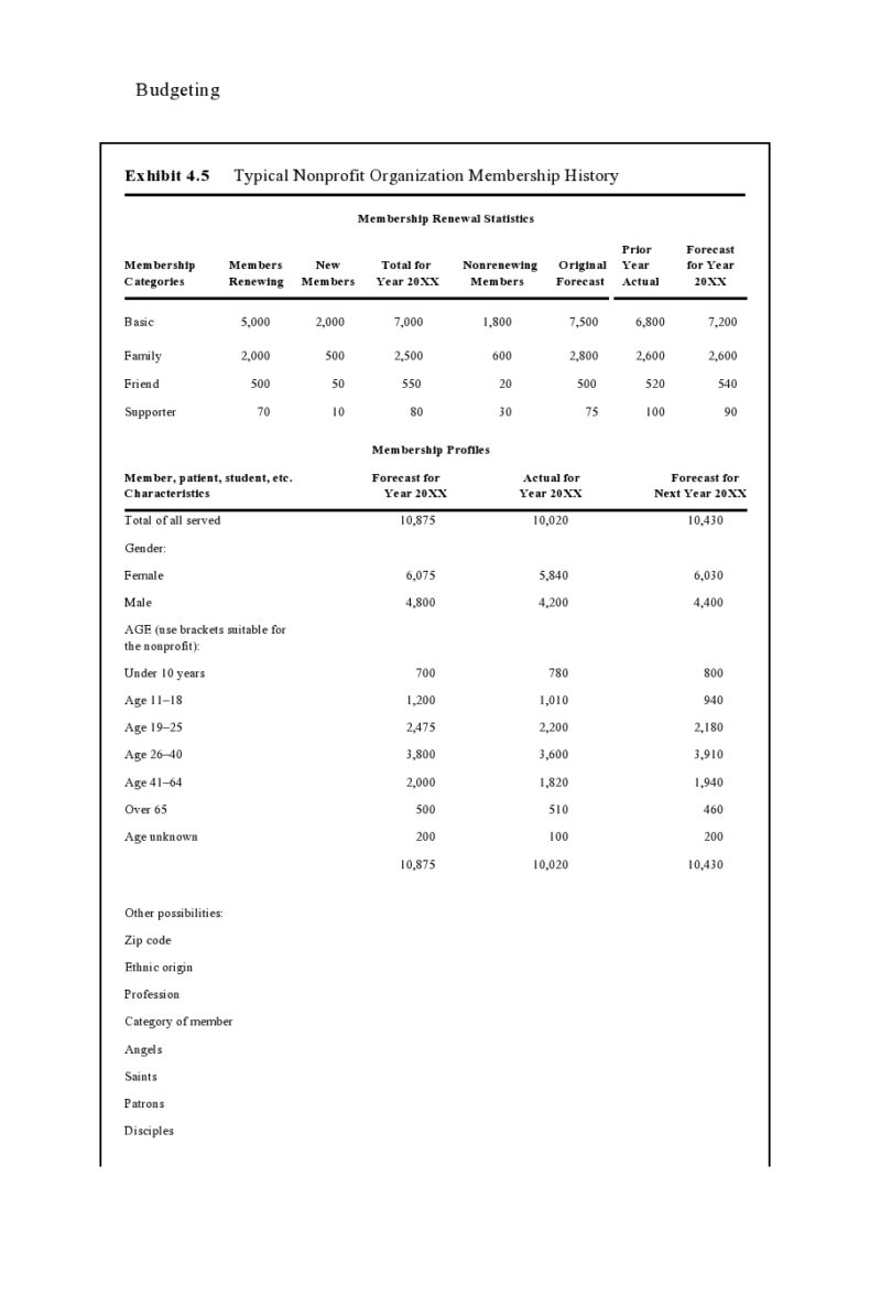 40 Simple Nonprofit Budget Templates [Excel / Word]