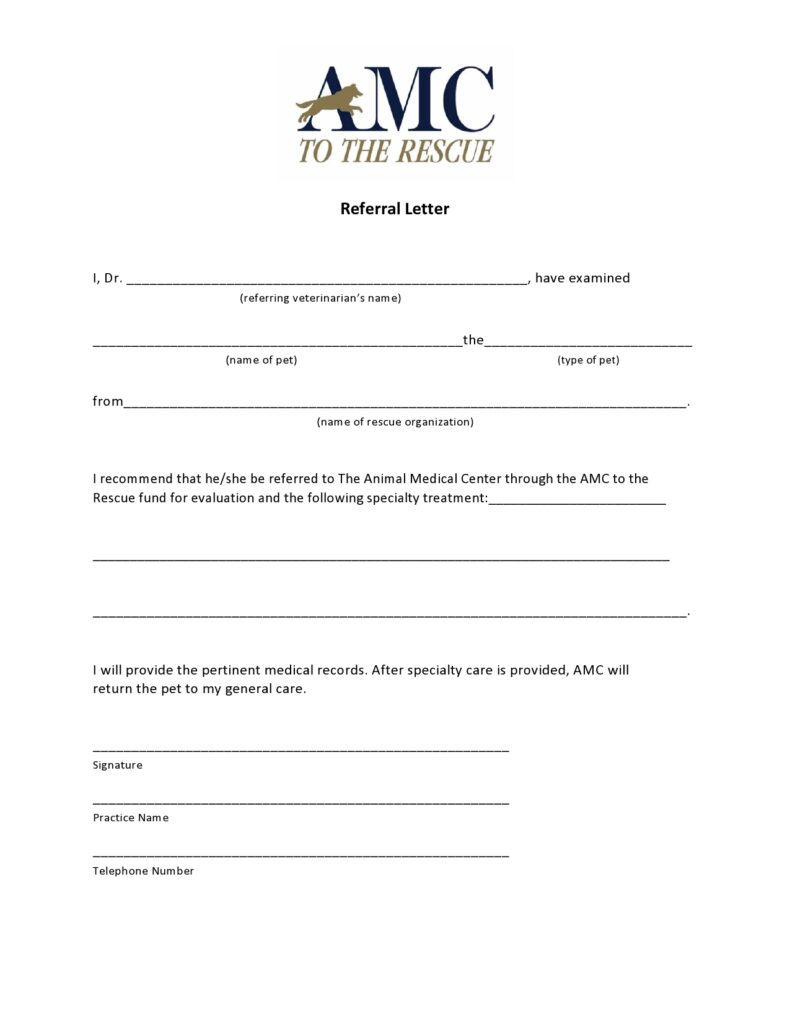 40 Professional Referral Letter Templates (+Examples)