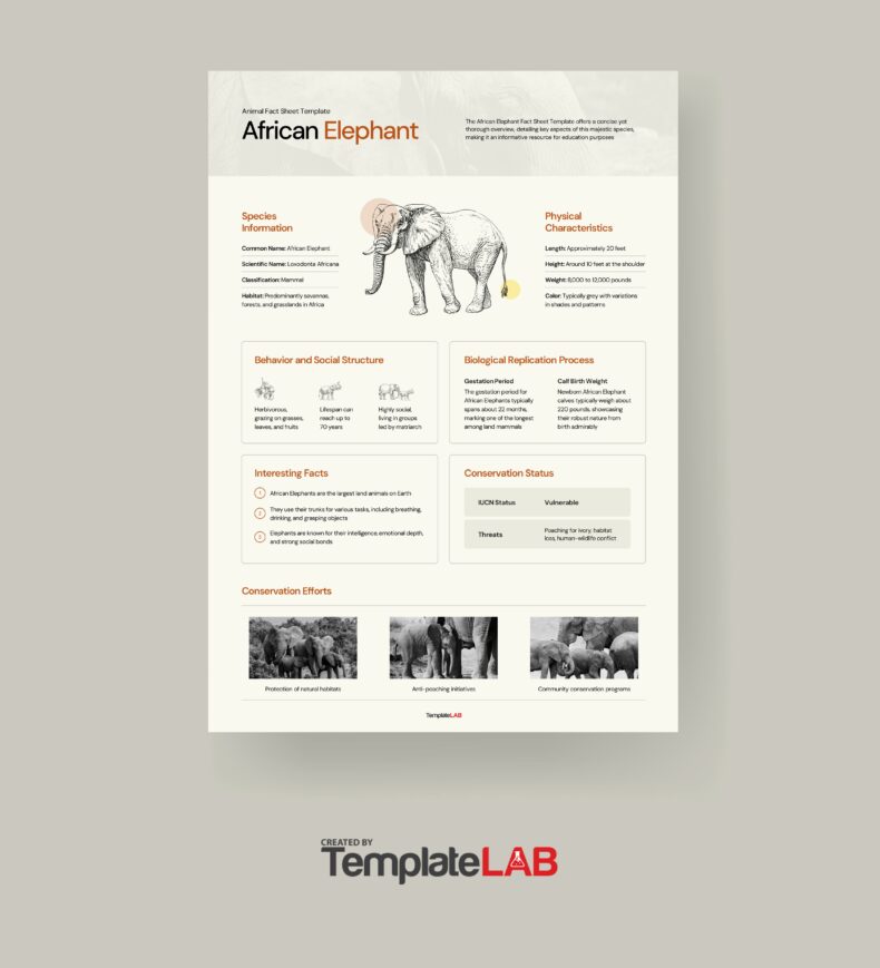 30+ Beautiful Fact Sheet Templates, Examples and Designs