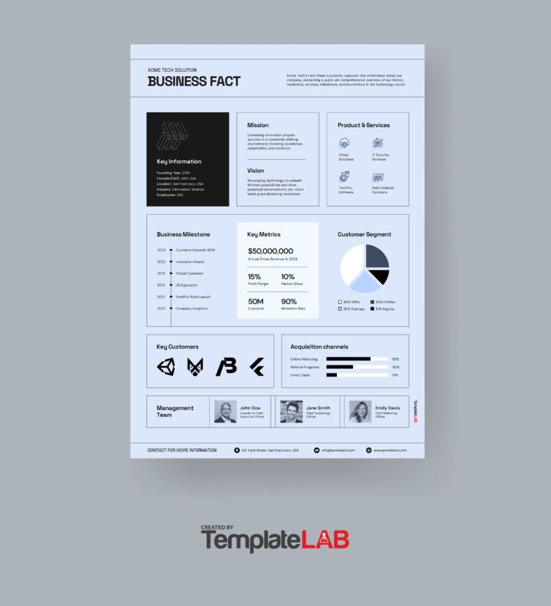 30+ Beautiful Fact Sheet Templates, Examples and Designs