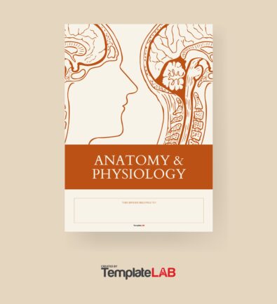 18 Beautifull Binder Cover Templates [FREE] ᐅ TemplateLab