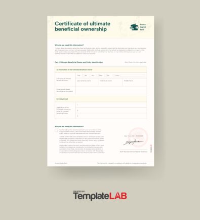 18 Certificate of Ownership Templates [Word, PDF, PPTX] ᐅ TemplateLab