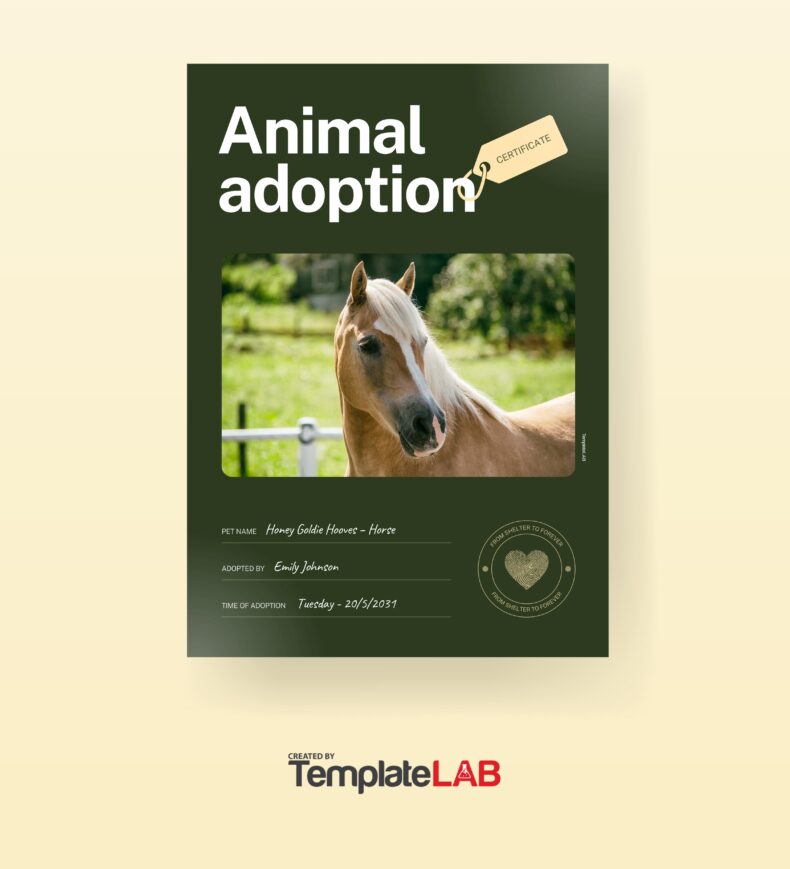18 Printable Adoption Certificate Templates (FREE) ᐅ TemplateLab