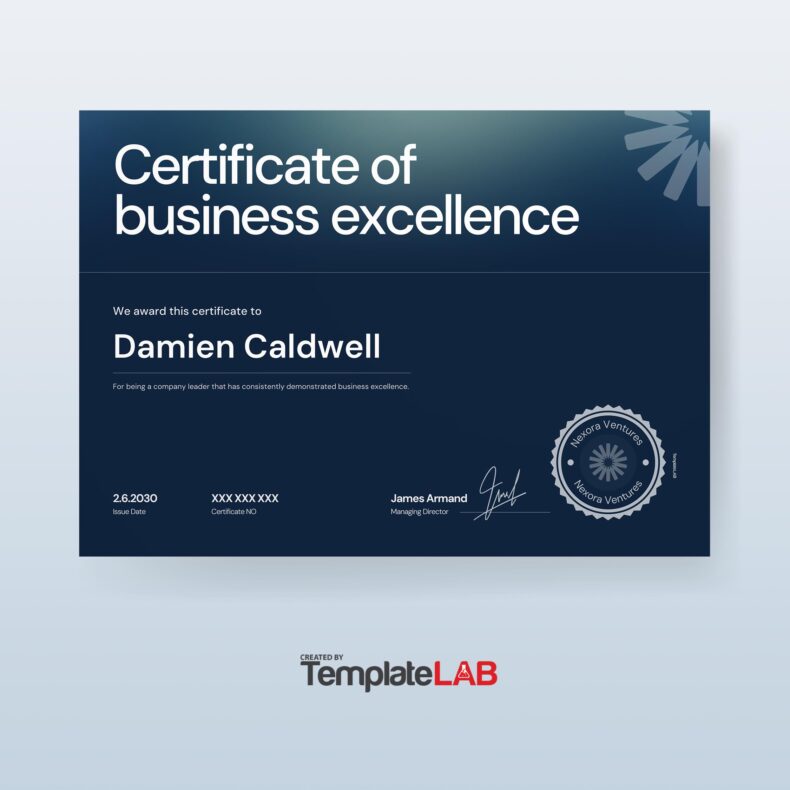 18 Free Certificate of Excellence Templates [& Examples]