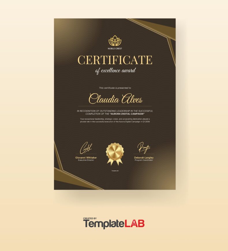 18 Free Certificate of Excellence Templates [& Examples]