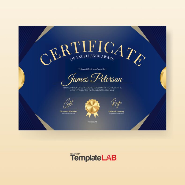 18 Free Certificate of Excellence Templates [& Examples]