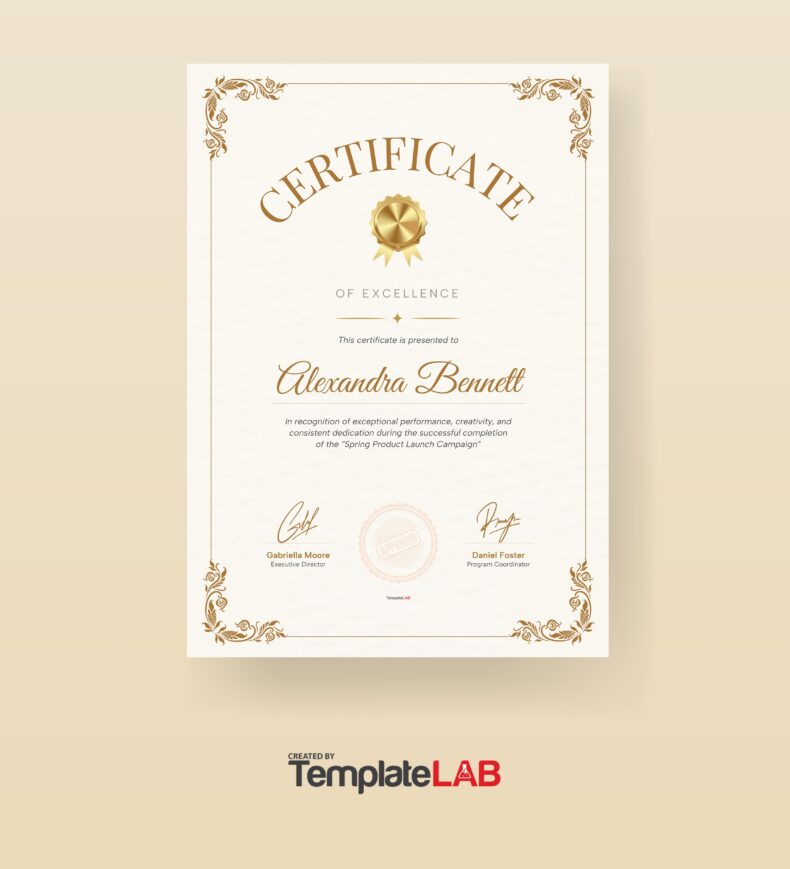 18 Free Certificate of Excellence Templates [& Examples]