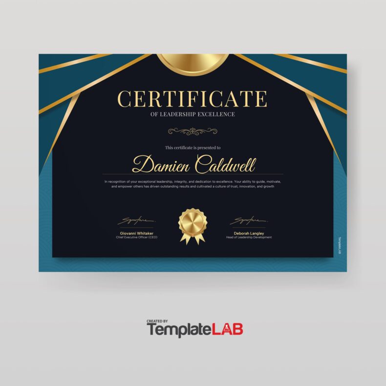 18 Free Certificate of Excellence Templates [& Examples]