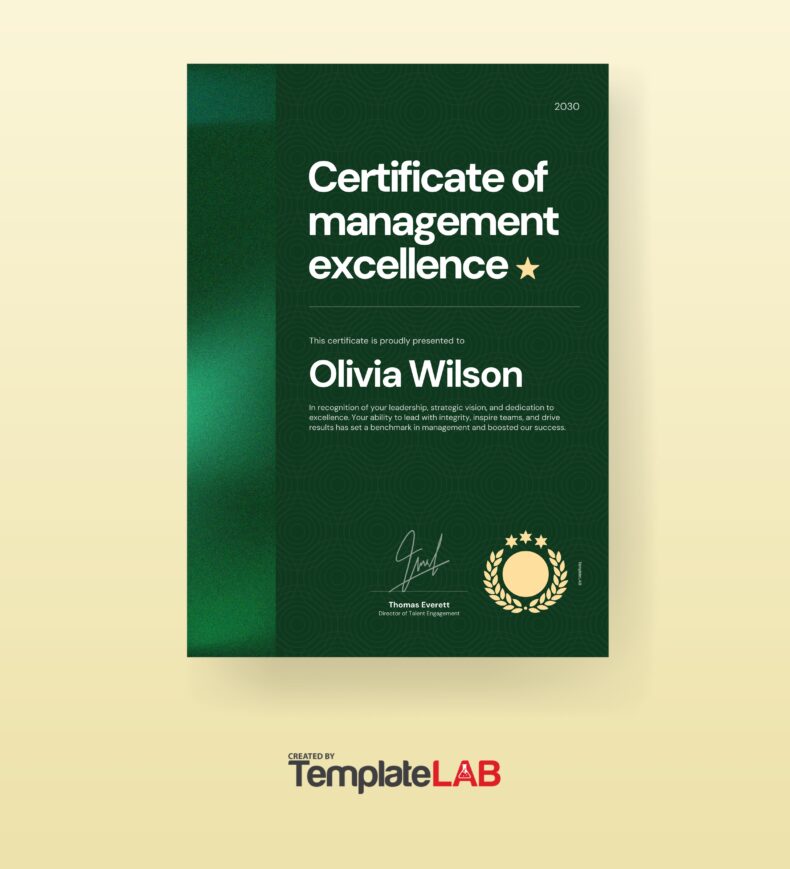 18 Free Certificate of Excellence Templates [& Examples]