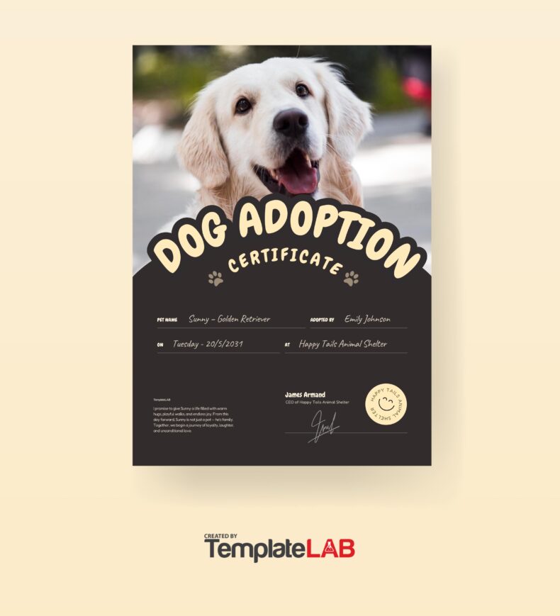 18 Printable Adoption Certificate Templates (FREE) ᐅ TemplateLab