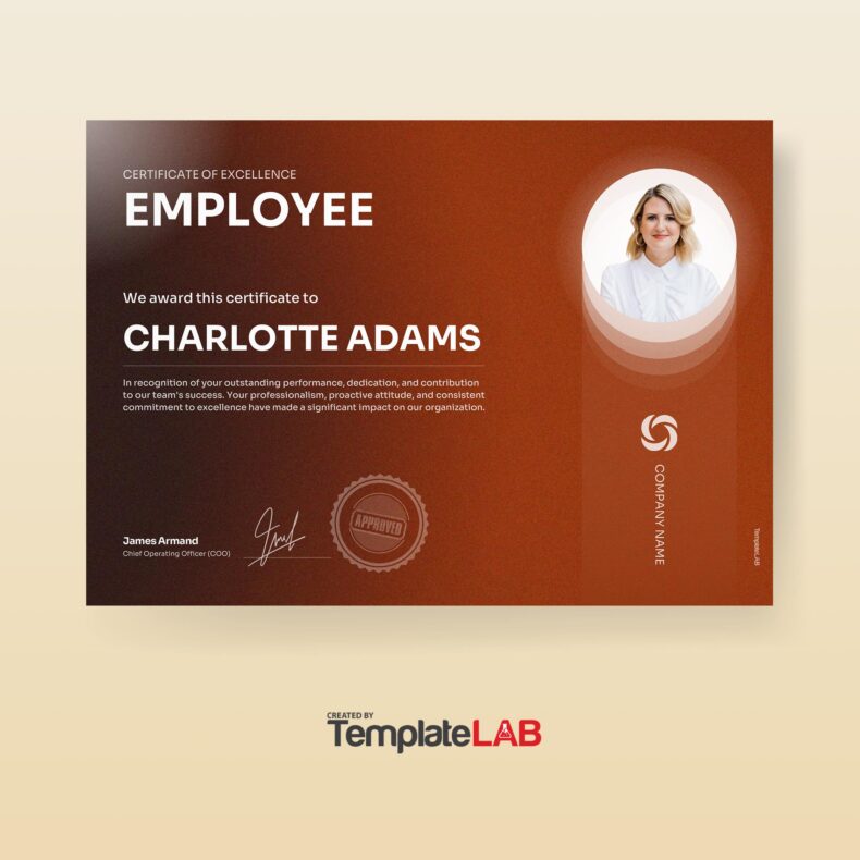 18 Free Certificate of Excellence Templates [& Examples]