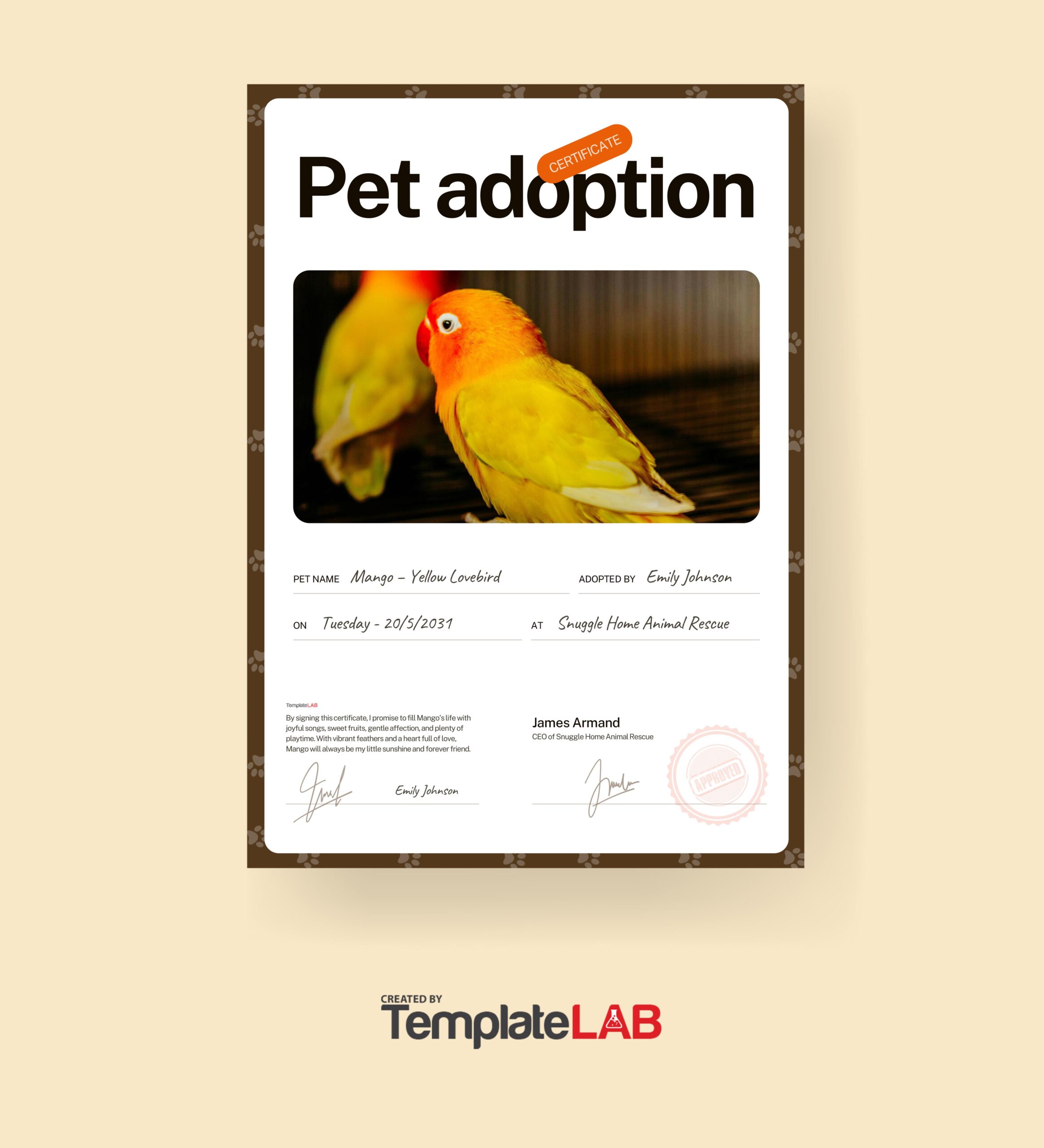 18 Printable Adoption Certificate Templates (FREE) ᐅ TemplateLab